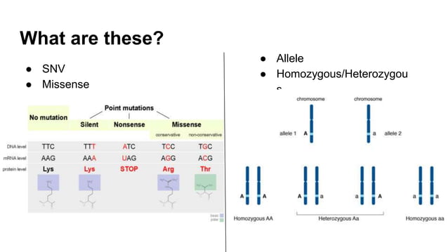 Genetic diagnosis by whole exome capture and massively parallel DNA ...