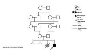 Genetic diagnosis by whole exome capture and massively parallel DNA sequencing | PPT