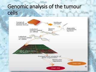 Genomics and Cancer | PPTX | Cancer | Diseases and Conditions