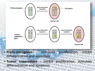 Genomics and Cancer | PPTX