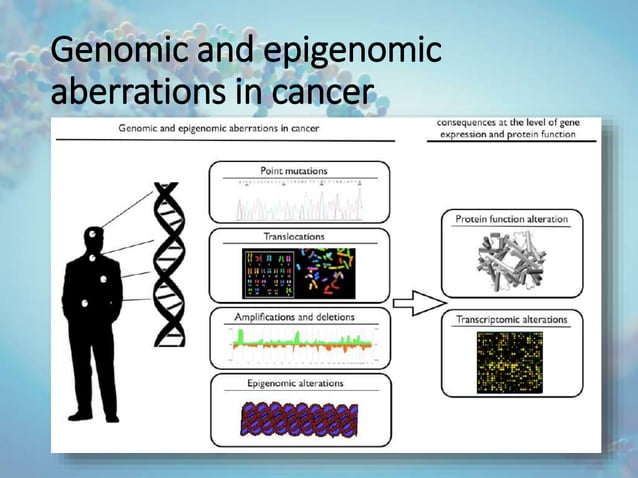 Genomics and Cancer | PPTX | Cancer | Diseases and Conditions