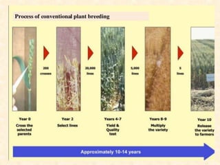 Genomics and its application in crop improvement | PDF