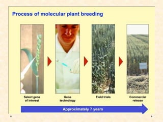 Genomics and its application in crop improvement | PDF