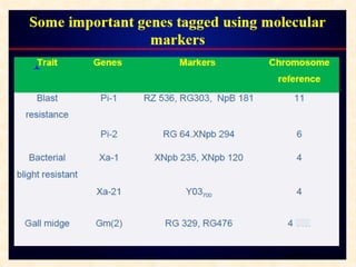 Genomics and its application in crop improvement | PDF