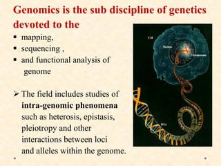 Genomics And Its Application In Crop Improvement Pdf