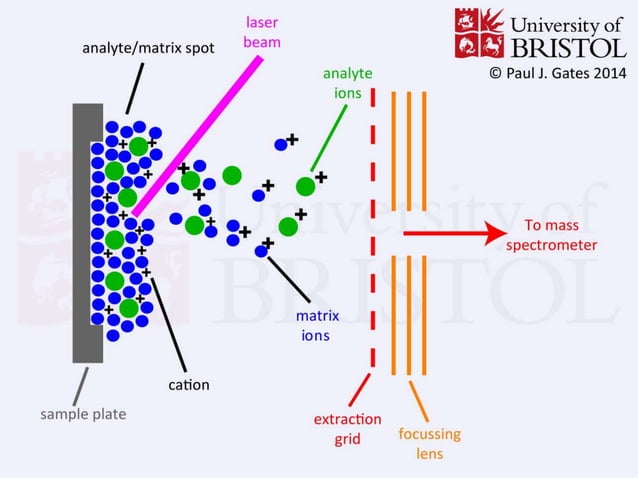 Mass spectrometry - A detailed study on components | PPTX | Chemistry ...