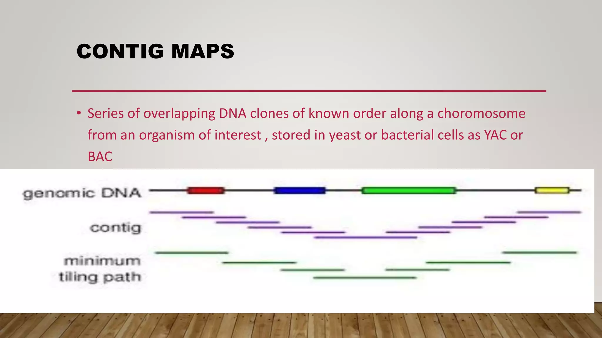 Genomics and proteomics ppt | PPTX