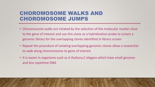 Genomics and proteomics ppt | PPTX