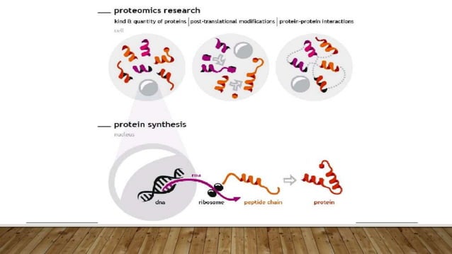 Genomics and proteomics ppt | PPTX | Biological Sciences | Science