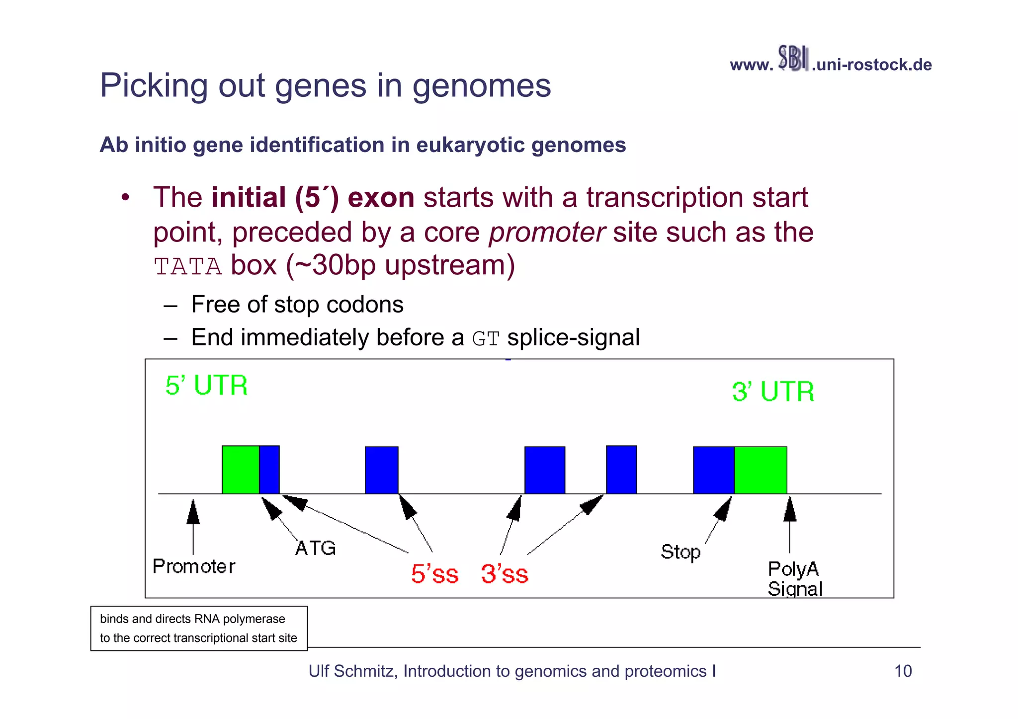 Genomics and proteomics I | PDF