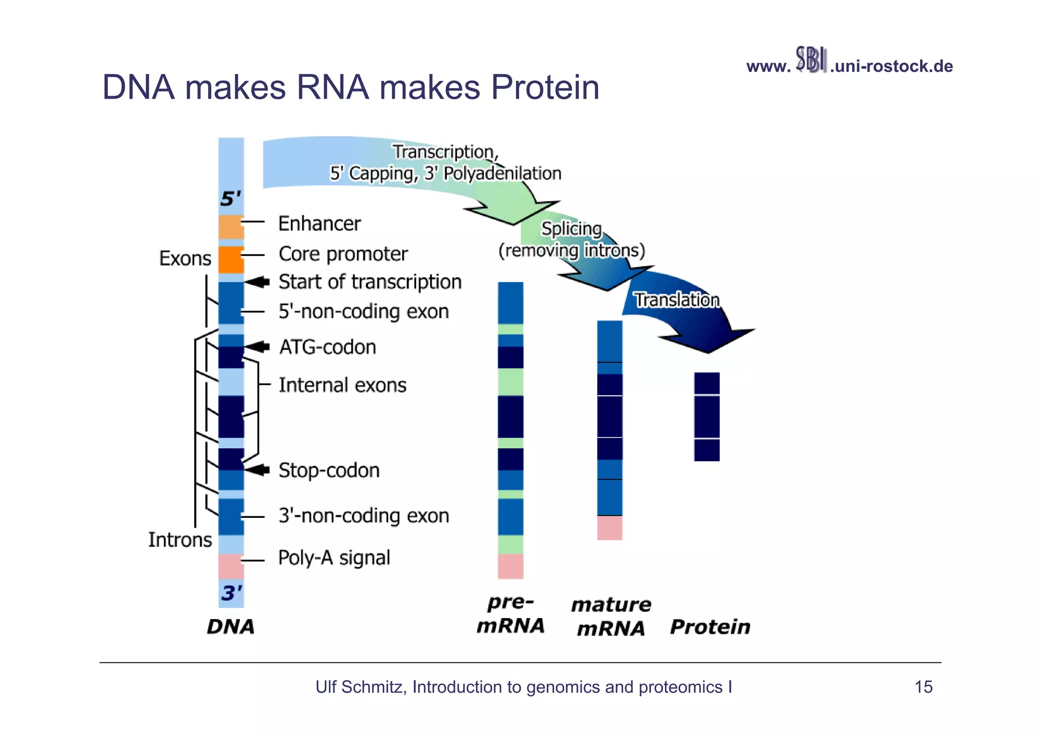 Genomics and proteomics I | PDF