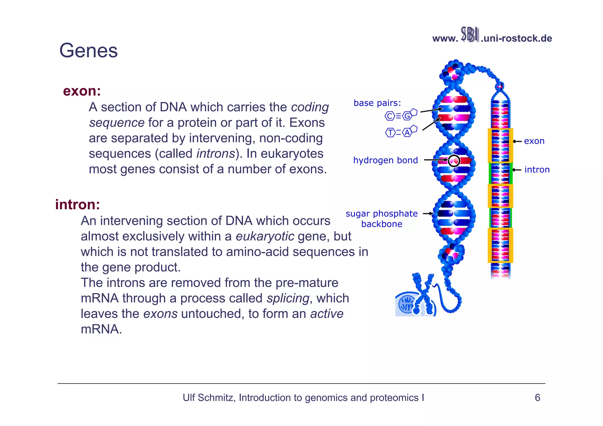 Genomics and proteomics I | PDF