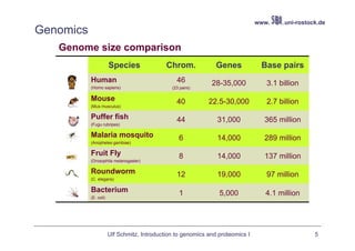 Genomics and proteomics I | PDF