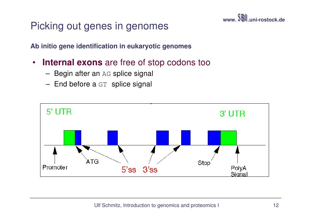 Genomics And Proteomics I