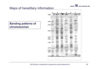 Genomics and proteomics II | PDF