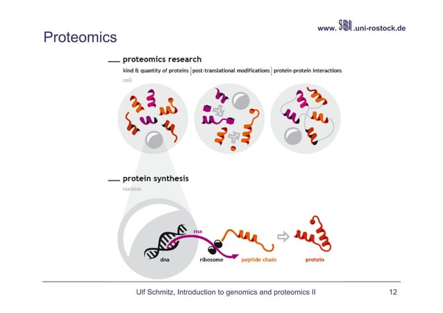 Genomicsandproteomicsii | PDF | Genetics | Science