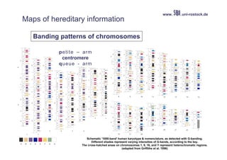 Genomicsandproteomicsii | PPT