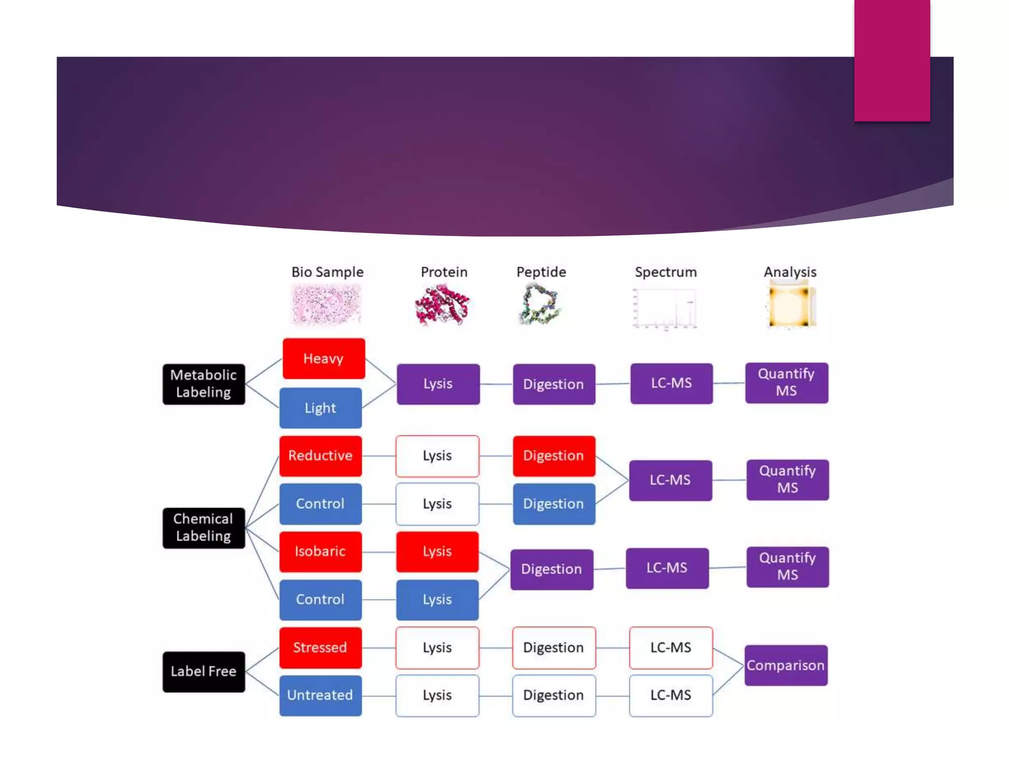 Genomics and proteomics in drug discovery and development | PPTX