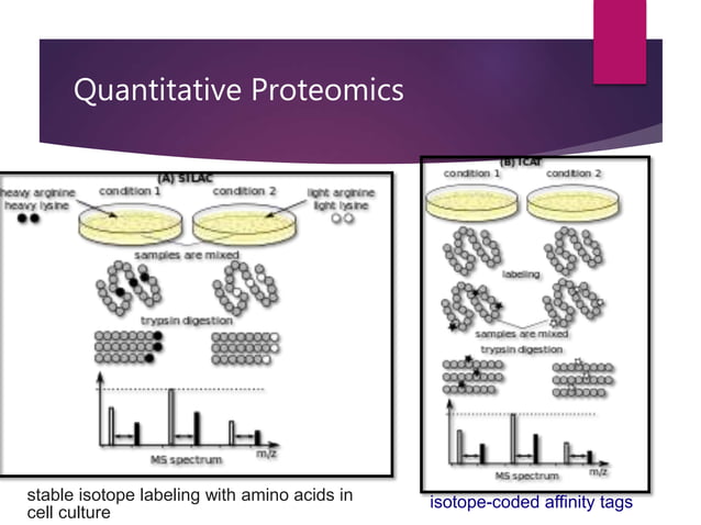 Genomics and proteomics in drug discovery and development | PPTX