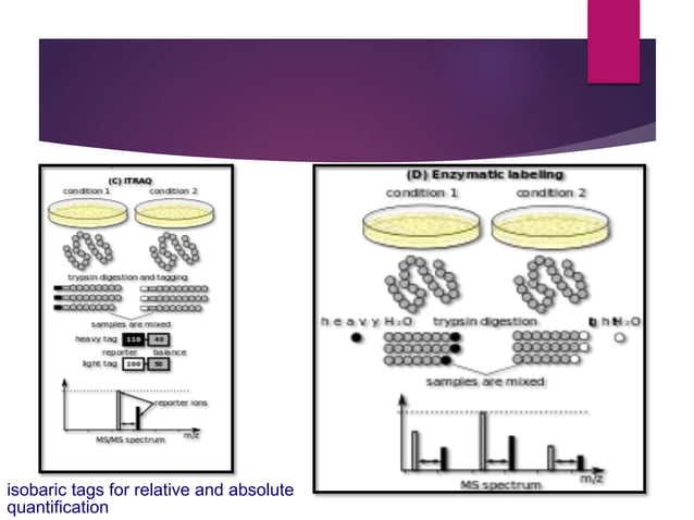 Genomics and proteomics in drug discovery and development | PPTX