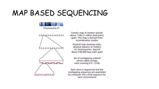 GENOMICS AND TRANSCRIPTONOMICS.7005.pptx | Biological Sciences | Science