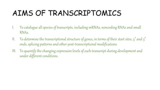 GENOMICS AND TRANSCRIPTONOMICS.7005.pptx | Biological Sciences | Science