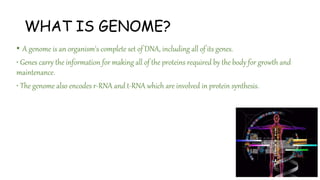 GENOMICS AND TRANSCRIPTONOMICS.7005.pptx | Biological Sciences | Science