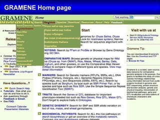 Genomics application using gramene | PPT