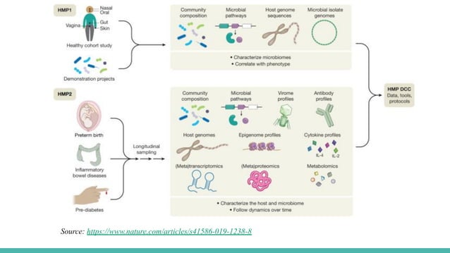 Human Microbiome Project (HMP) | PDF | Genetics | Science