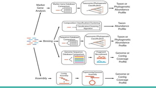 Human Microbiome Project (HMP) | PDF | Genetics | Science