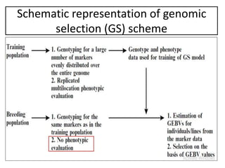 Genomic selection | PPTX