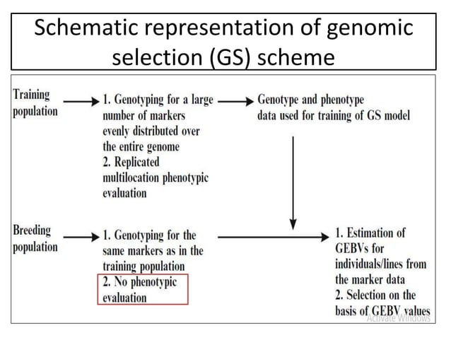 Genomic selection | PPTX | Genetics | Science
