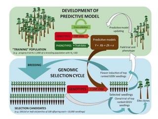 Genomic selection | PPTX