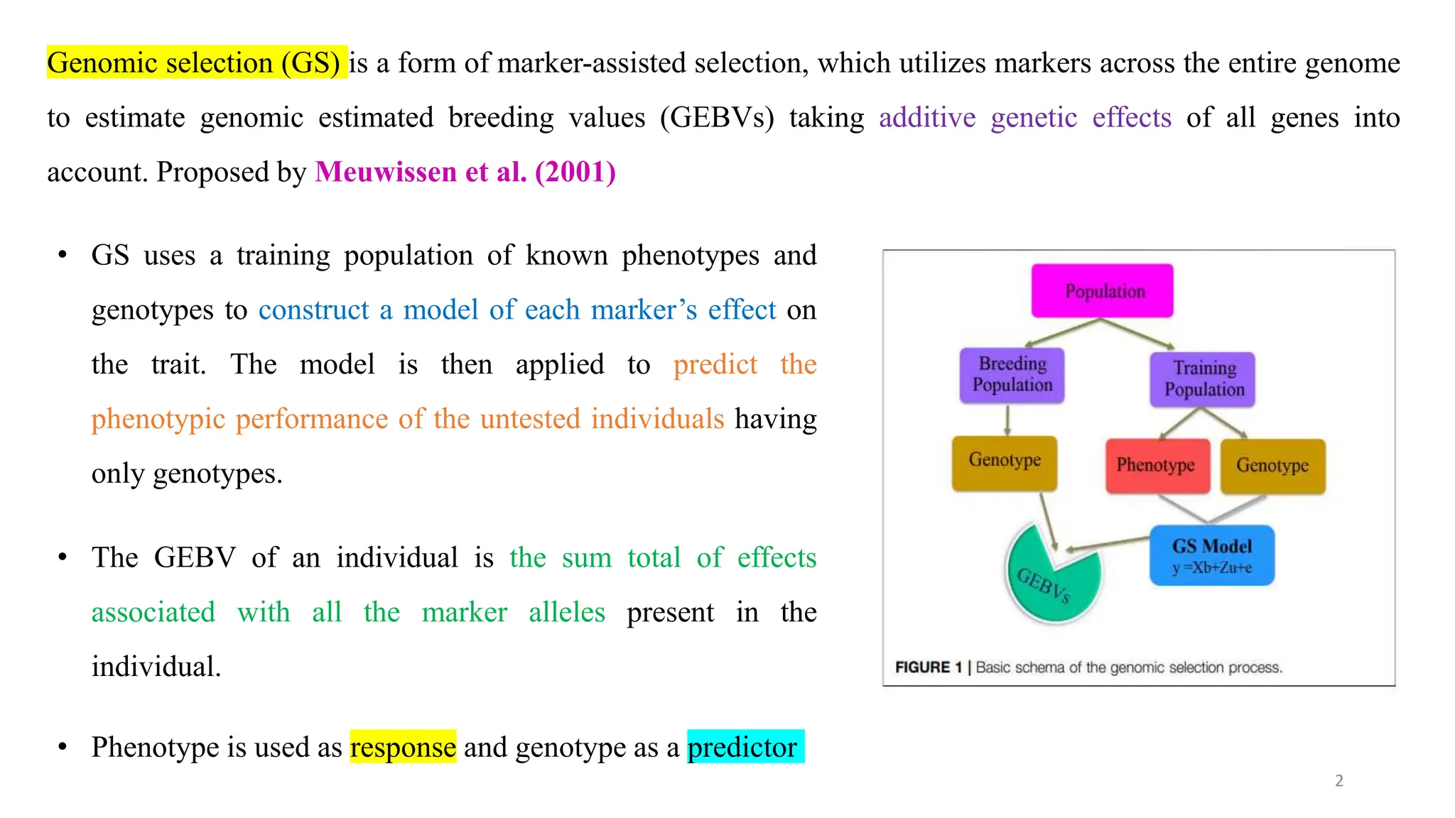 GENETIC GAIN BY GENOMIC SELECTION PPT.pptx