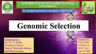 GENETIC GAIN BY GENOMIC SELECTION PPT.pptx