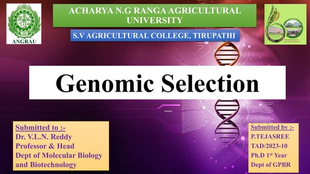 GENETIC GAIN BY GENOMIC SELECTION PPT.pptx