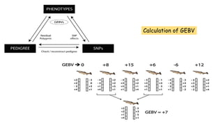 GENETIC GAIN BY GENOMIC SELECTION PPT.pptx