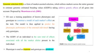 GENETIC GAIN BY GENOMIC SELECTION PPT.pptx
