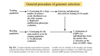 GENETIC GAIN BY GENOMIC SELECTION PPT.pptx