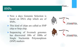 Potential for Genomic Selection in indigenous breeds and results of ...