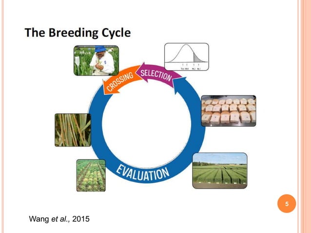 Genomic Selection For Crop Improvement Pptx Agriculture Industries