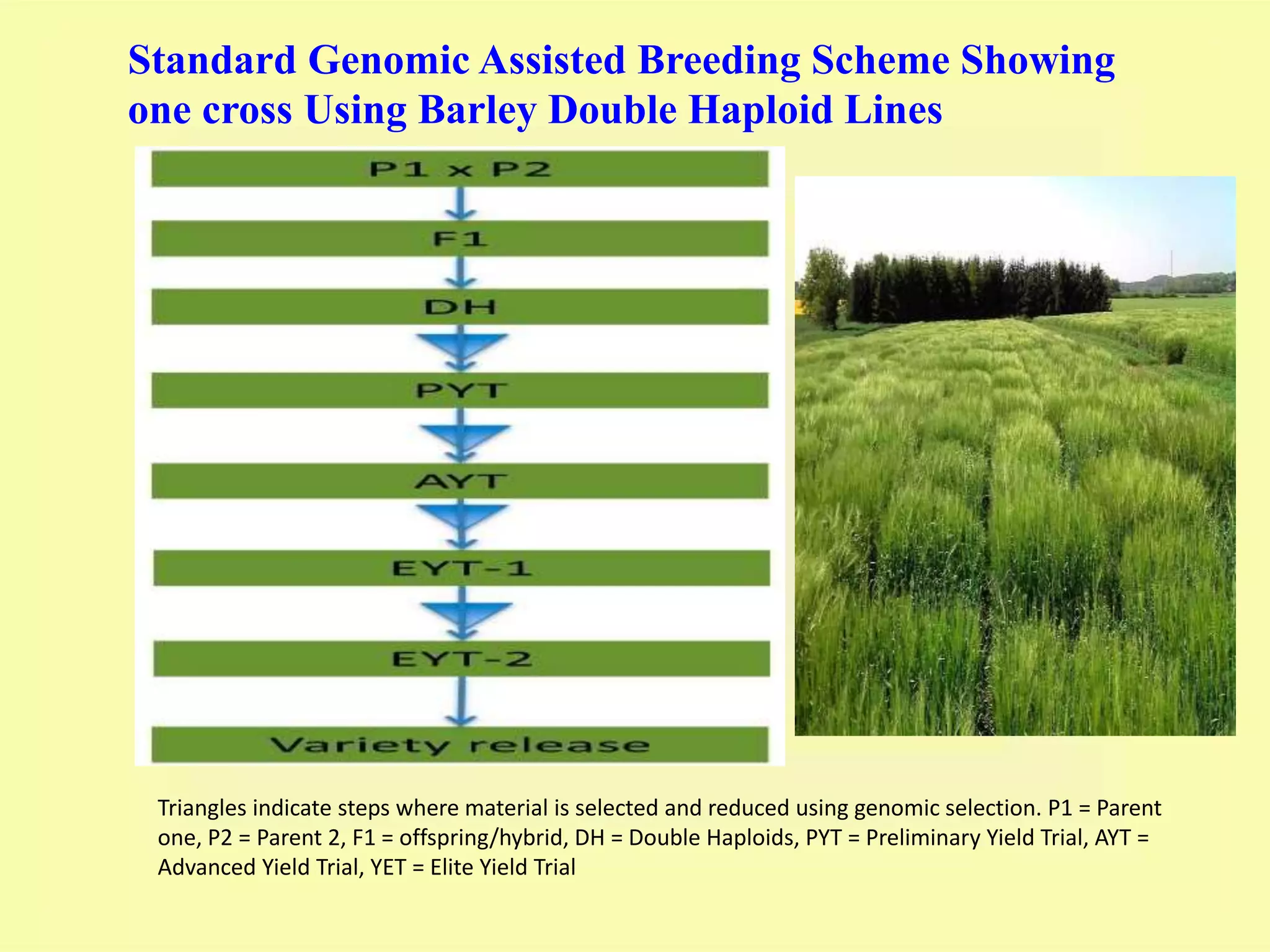 Genomic Selection in Plants | PPTX