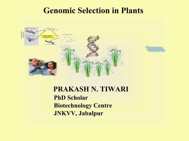 Genomic Selection in Plants | PPTX | Genetics | Science