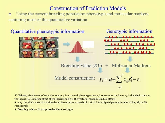 Genomic Selection in Plants | PPTX | Genetics | Science