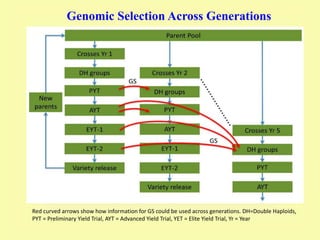 Genomic Selection in Plants | PPTX