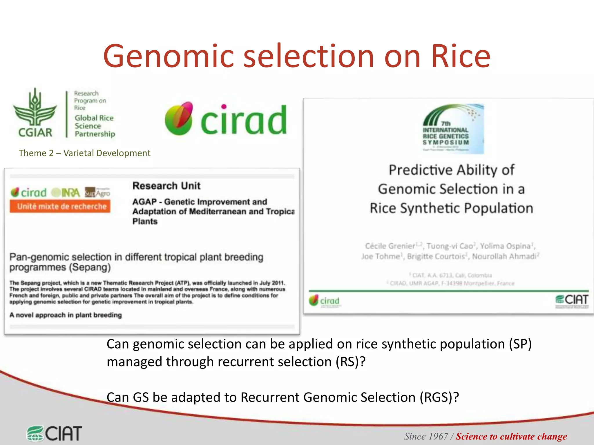 Genomic selection on rice | PPTX