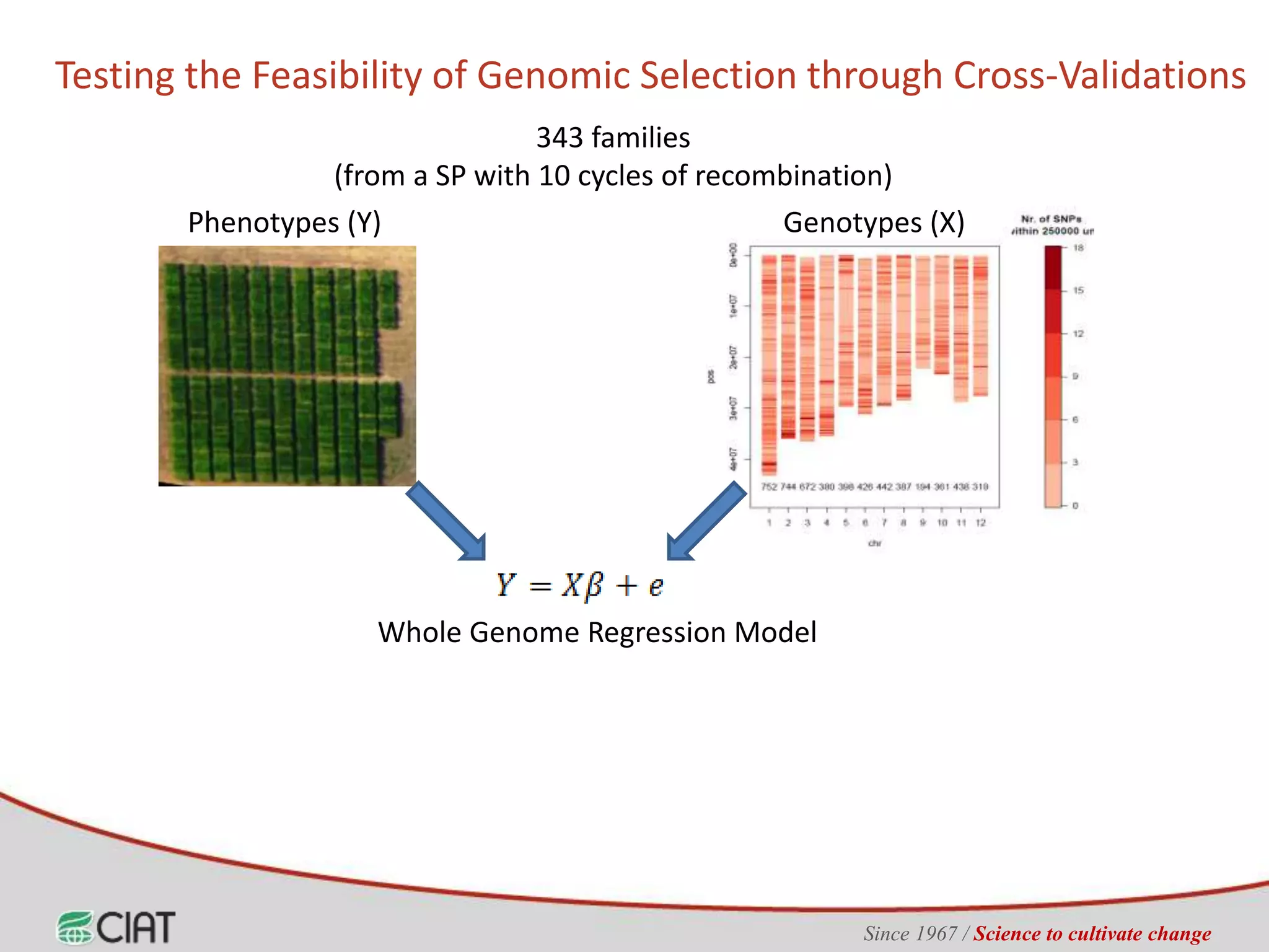 Genomic selection on rice | PPTX
