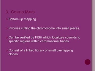 Construction of human gene map through map integration- from genetic ...