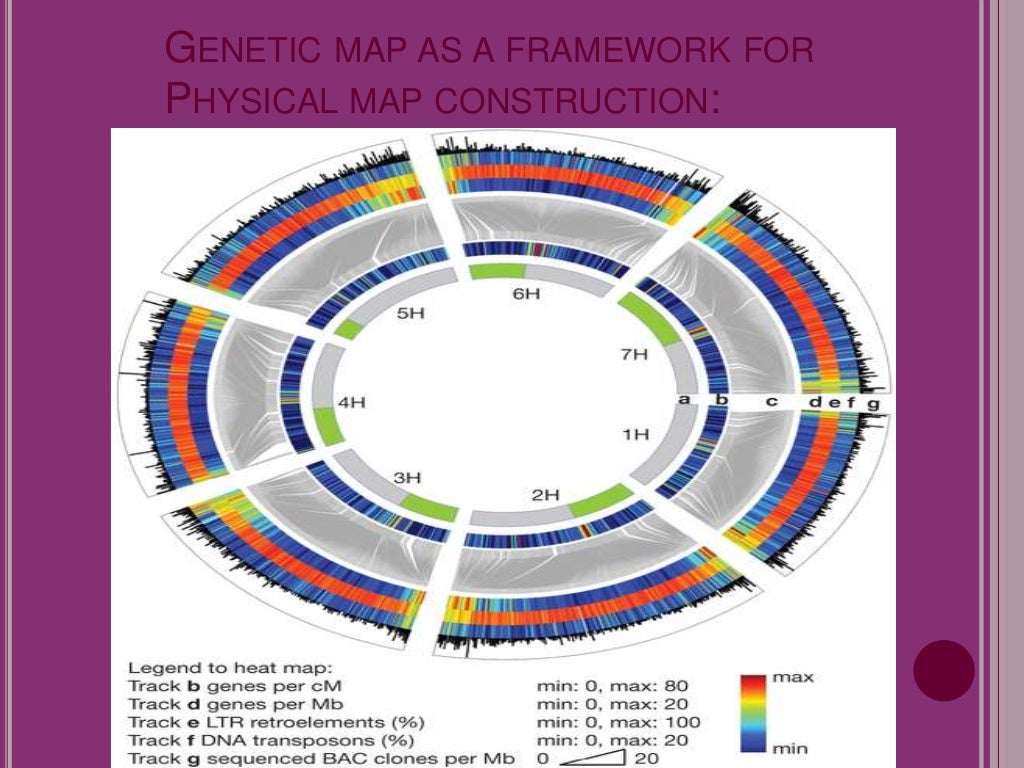 Construction of human gene map through map integration- from genetic