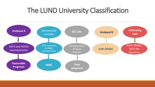 Genomics of bladder cancer and novel molecular taxonomy.pptx